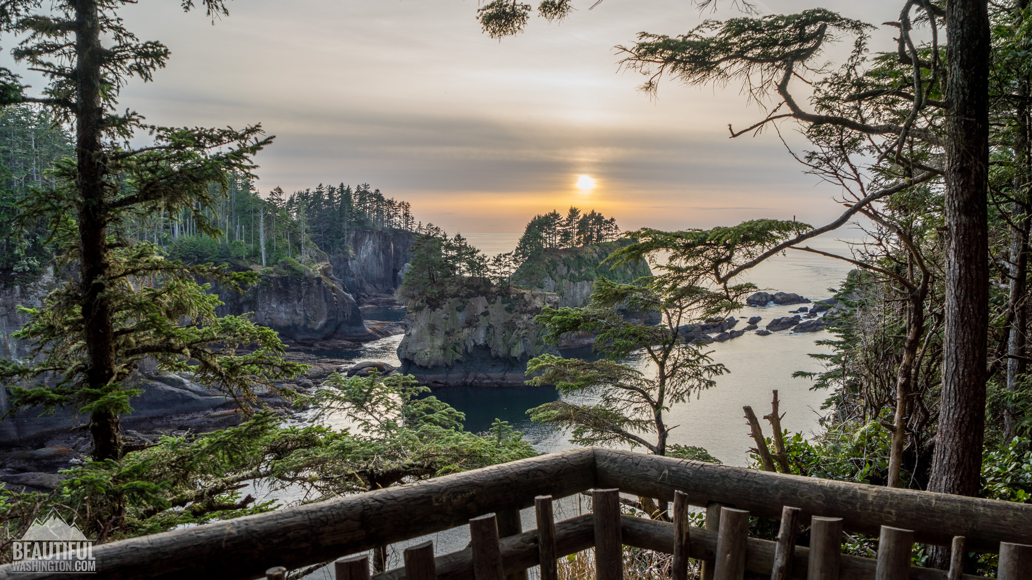 Cape Flattery Trail, Olympic National Park coastal hike, WA