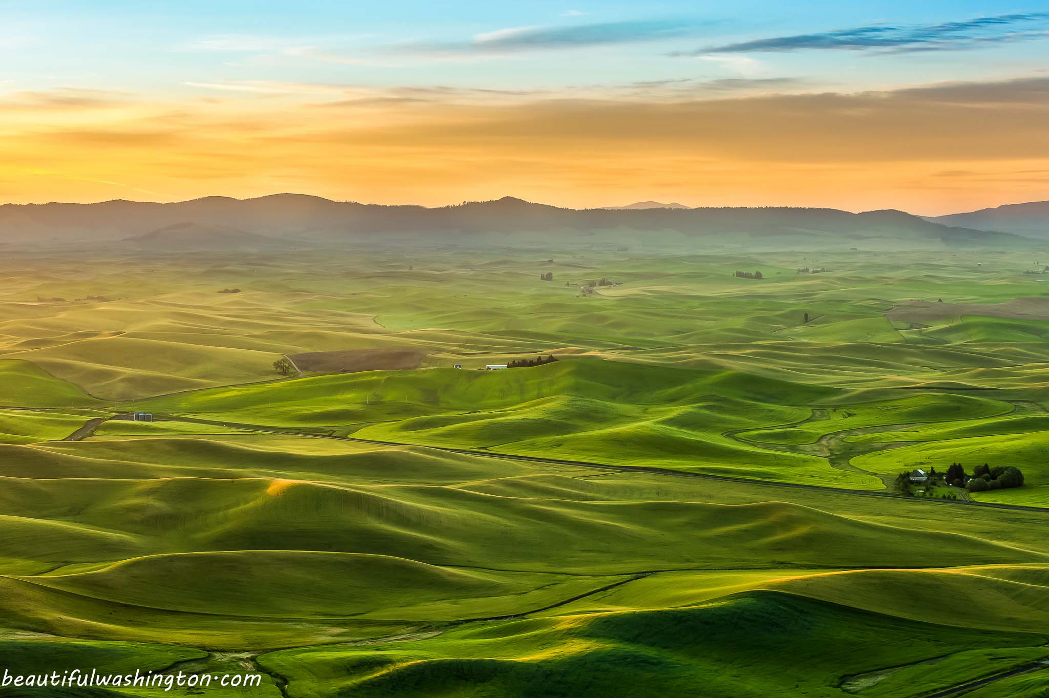 Palouse fields