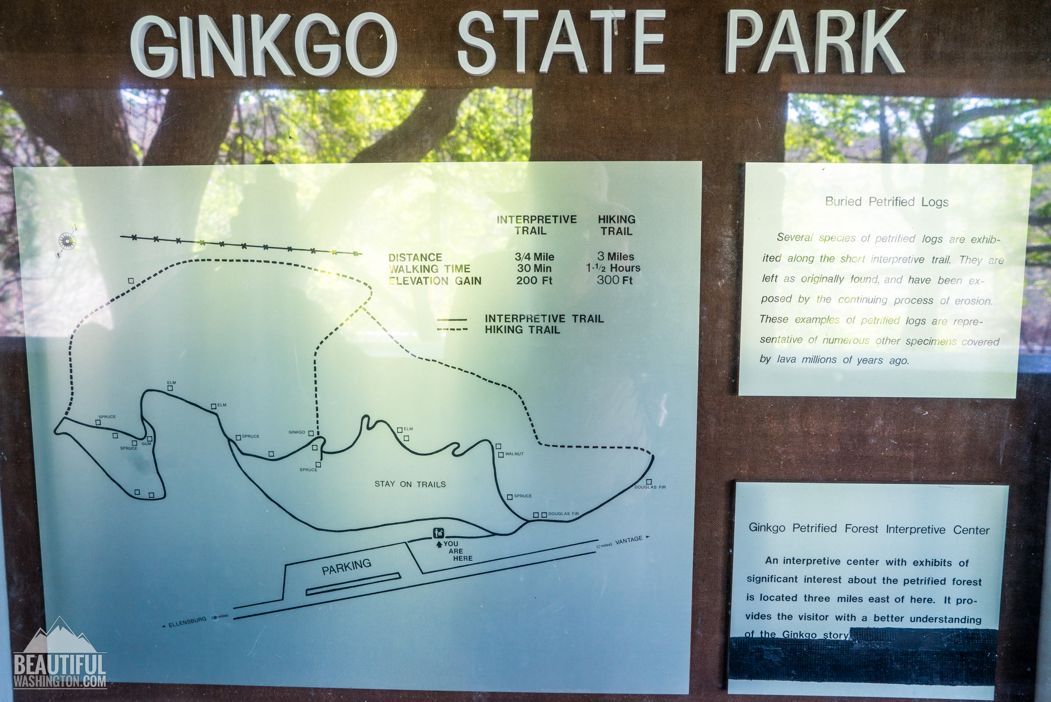 Ginkgo Petrified Forest State Park Interpretive Trails