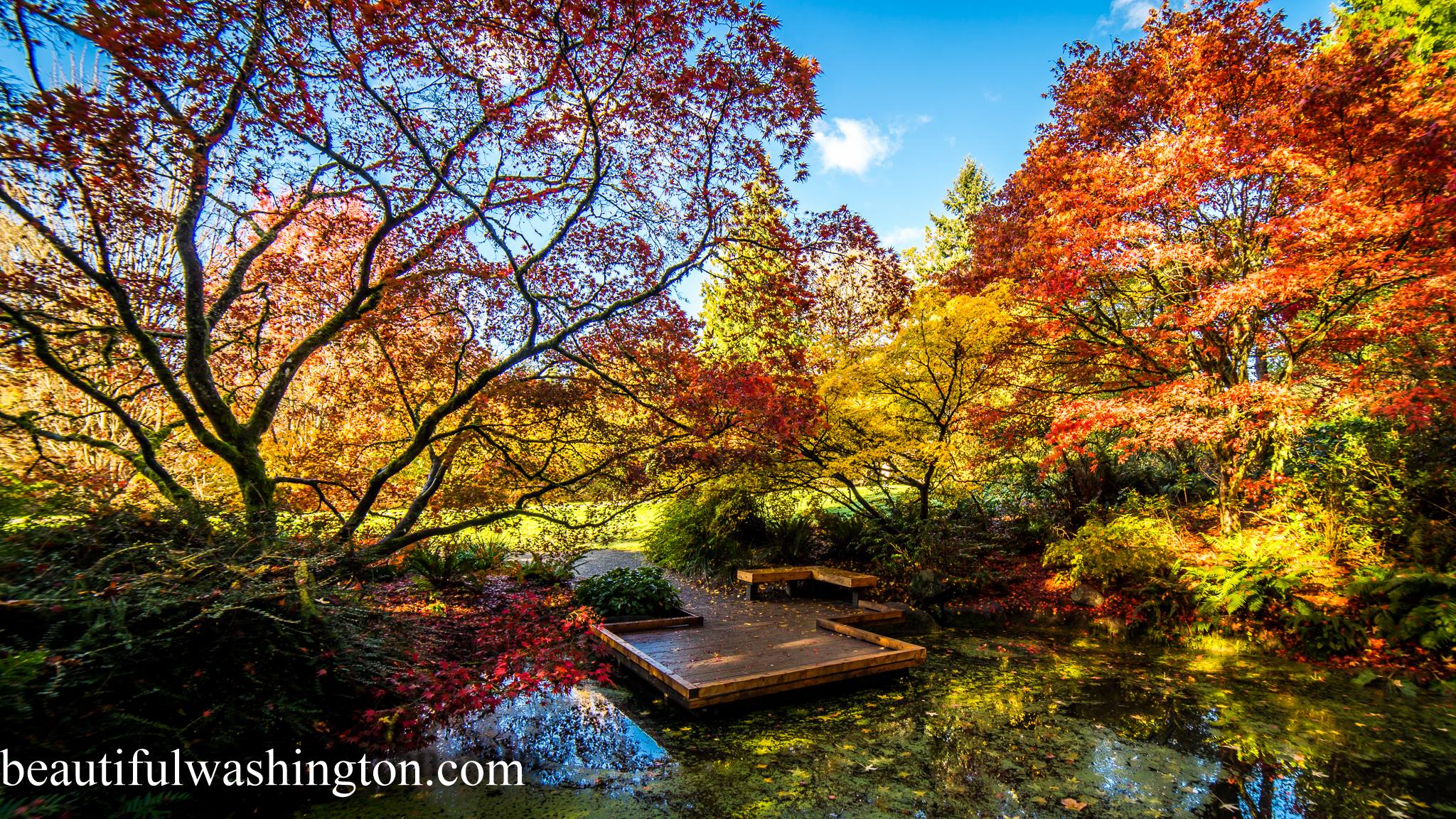 Seattle Recreation and Attractions | Museums, parks, hiking