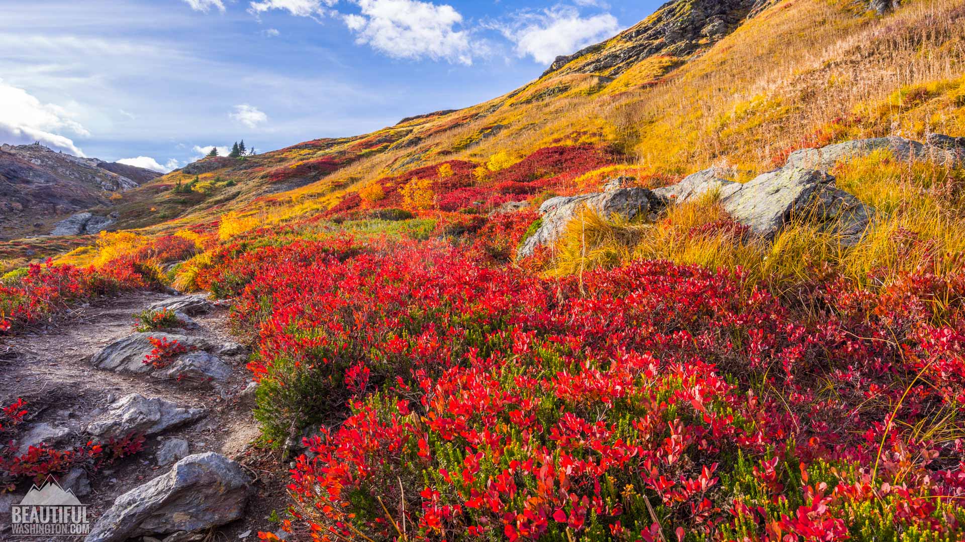 Yellow Aster Butte Trail, Autumn